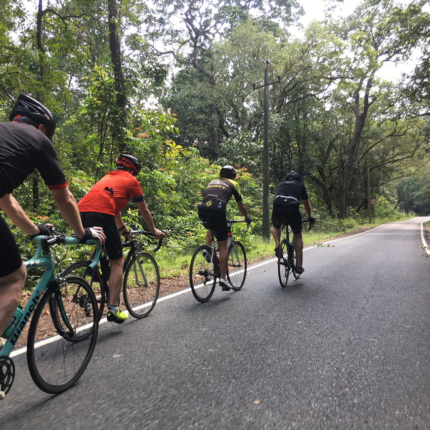 Goa: Guided Bike & Cycling Tours | Unventured